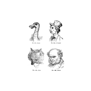 Evolution of Character | PPT