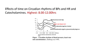 Evolution of circadian rhythm | PPTX