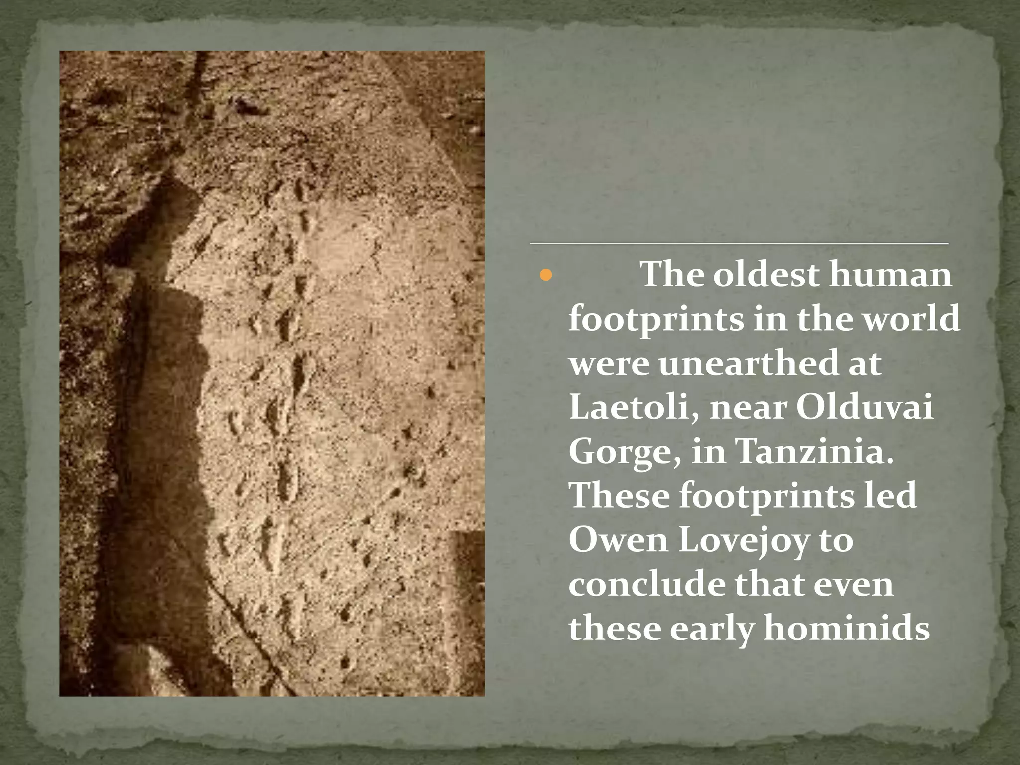 Evolution of civilization | PPTX