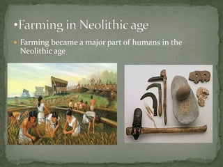 Evolution of civilization | PPTX