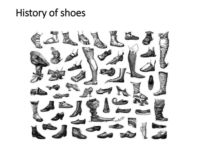 Evolution of clothes | PPTX