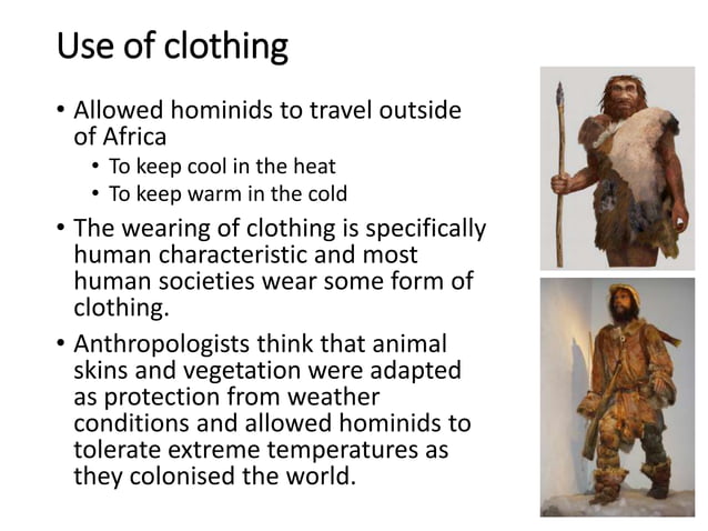 Evolution of clothes | PPTX