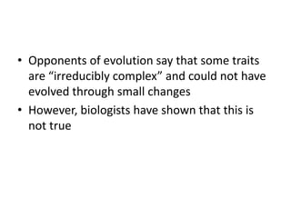 Evolution of complex traits | PPTX