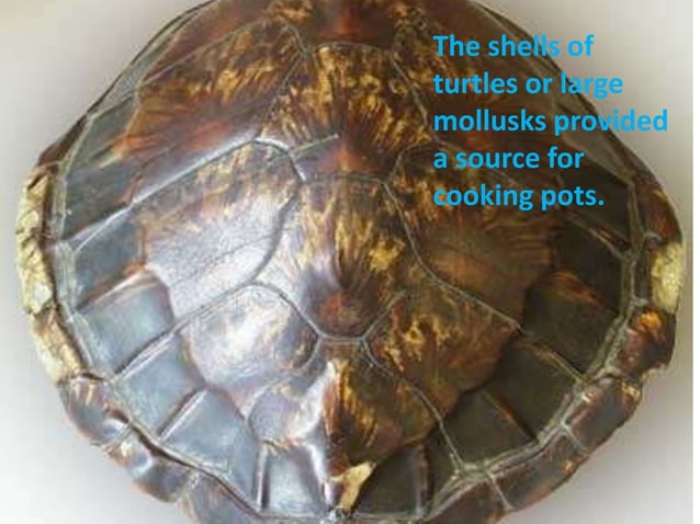 Evolution of Cooking Pots | PPTX