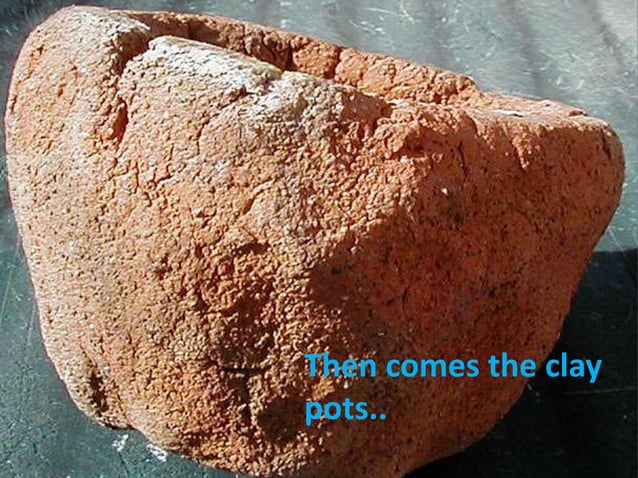 Evolution of cooking | PPTX