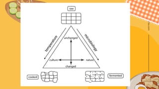Evolution of Culinary.pdf