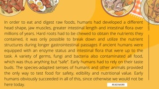 Evolution of Culinary.pdf