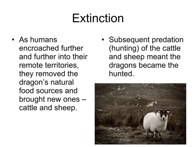 Evolution Of Dragons | PPT