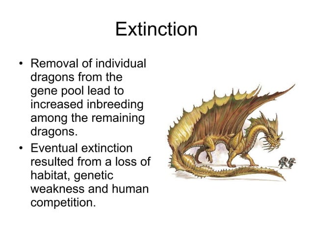 Evolution Of Dragons | PPT