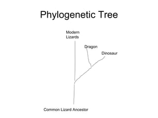 Evolution Of Dragons | PPT