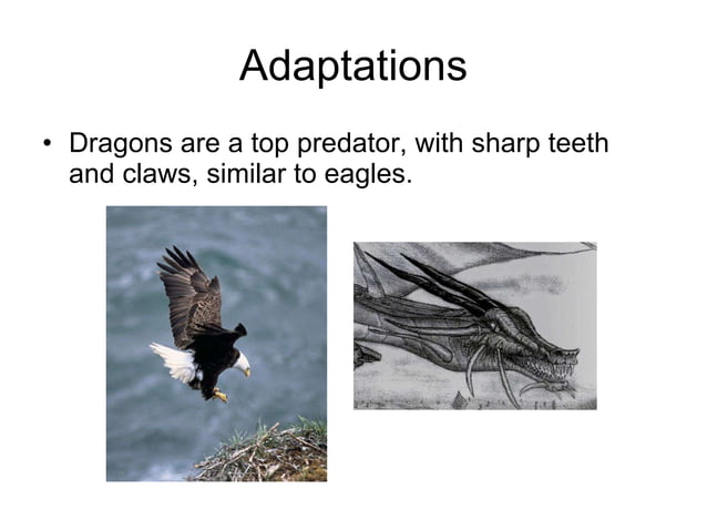 Evolution Of Dragons | PPT