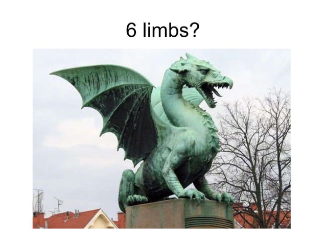 Evolution Of Dragons | PPT