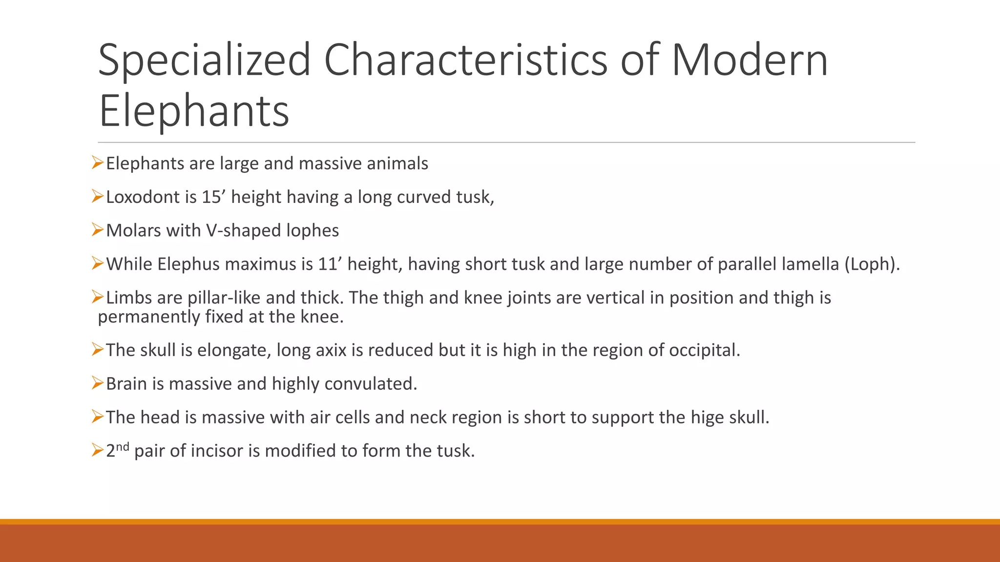 Evolution_of_elephant.pptx
