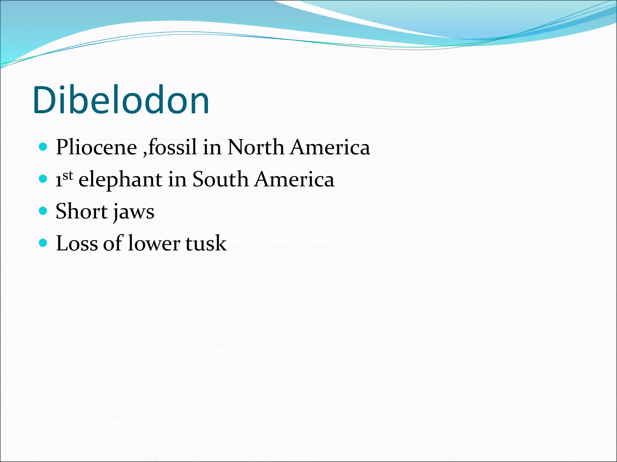 evolution of elephant.ppt