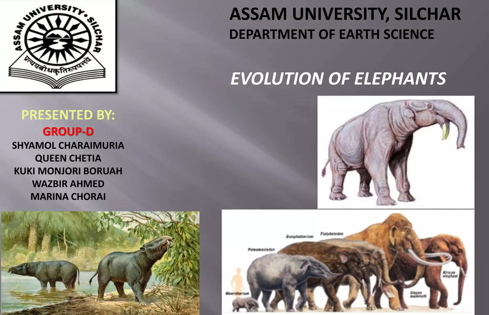 EVOLUTION OF ELEPHANT.pptx