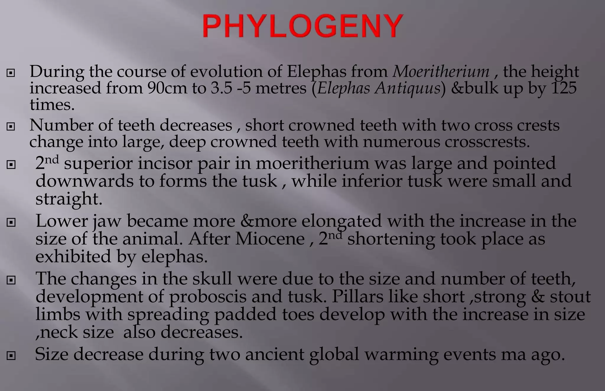 EVOLUTION OF ELEPHANT.pptx