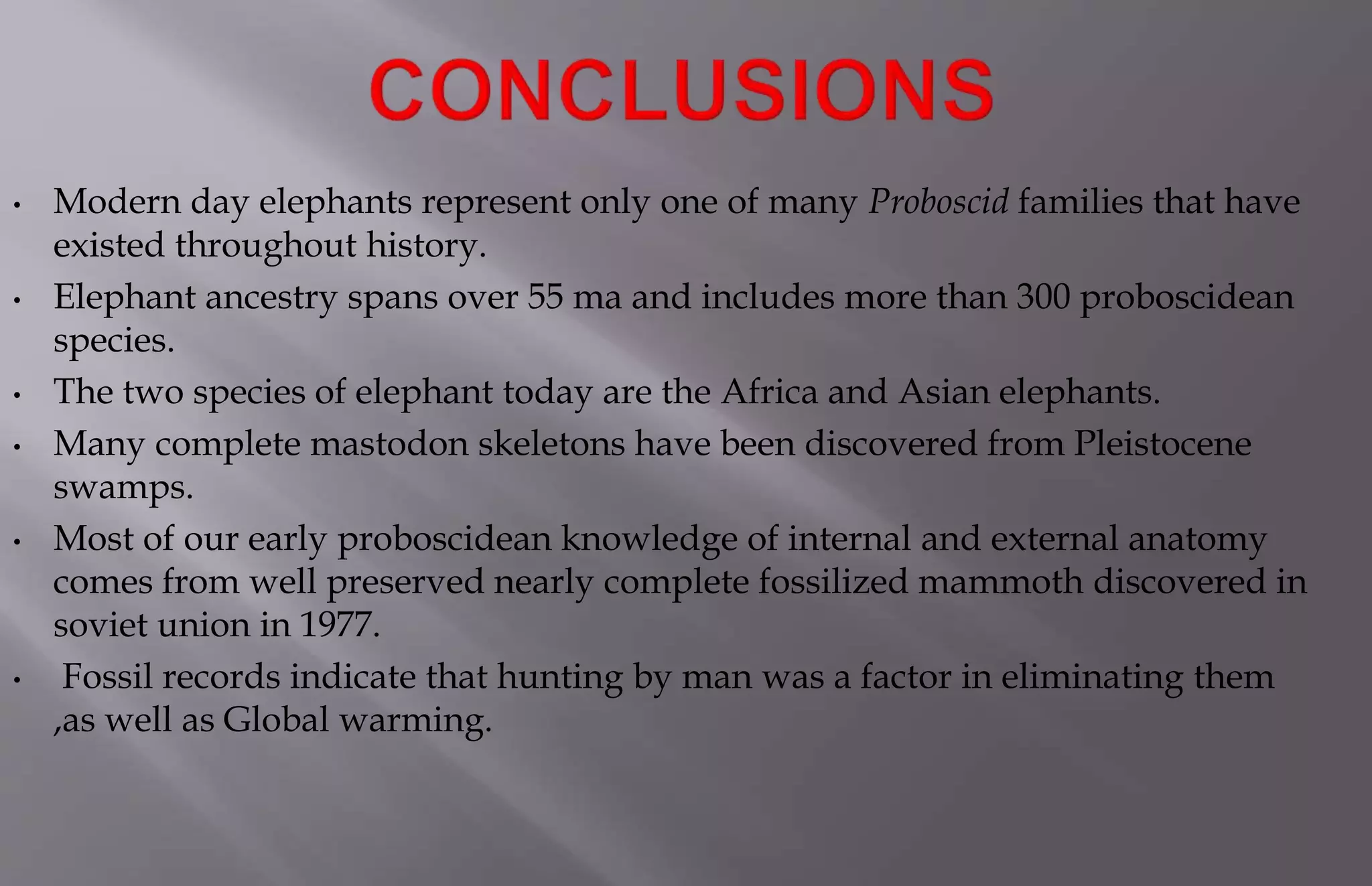 EVOLUTION OF ELEPHANT.pptx