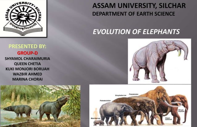 EVOLUTION OF ELEPHANT.pptx