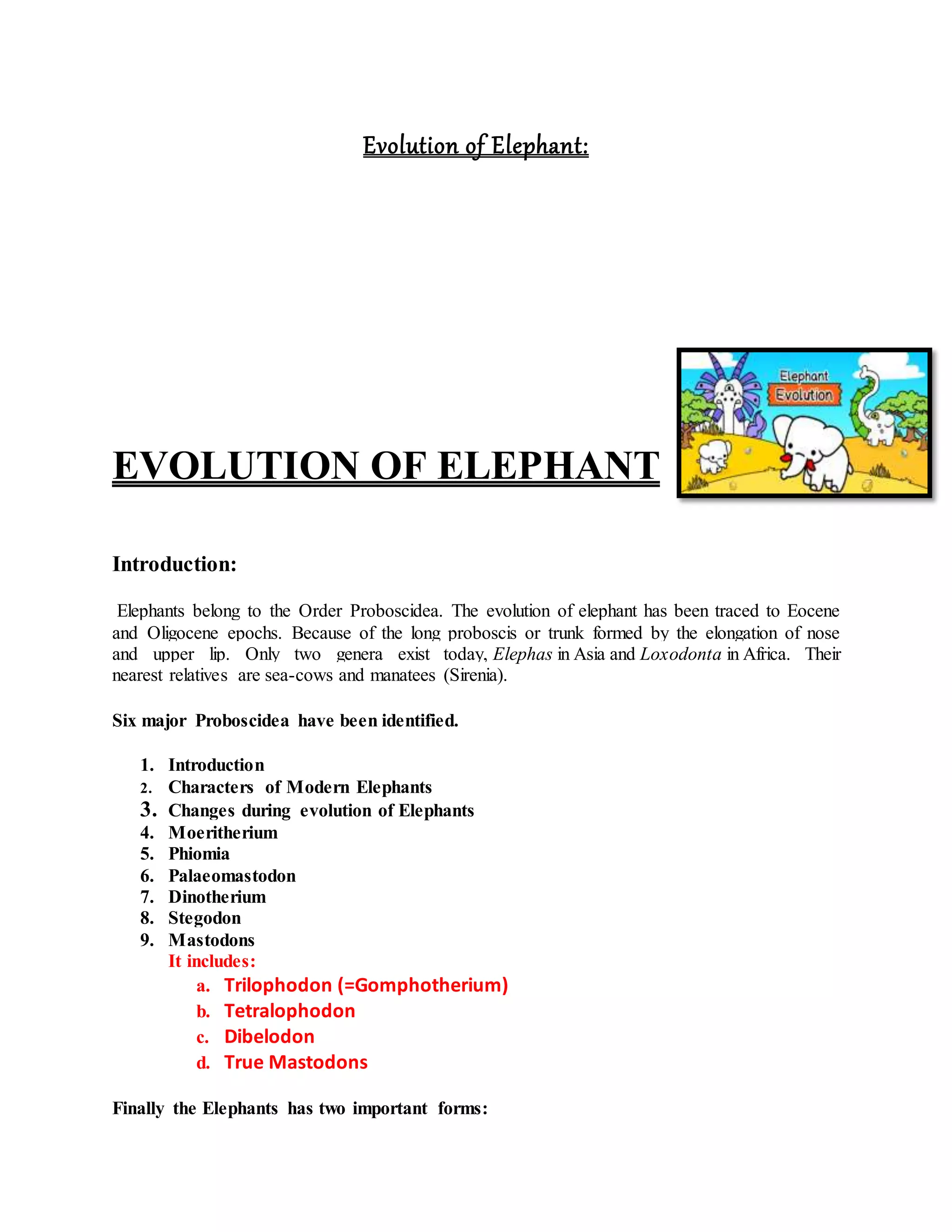 Evolution of elephant | DOCX