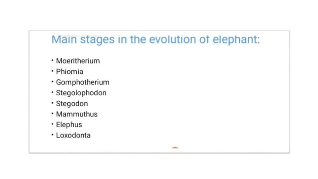 Evolution of elephant by NOOR AND SADAM.pptx
