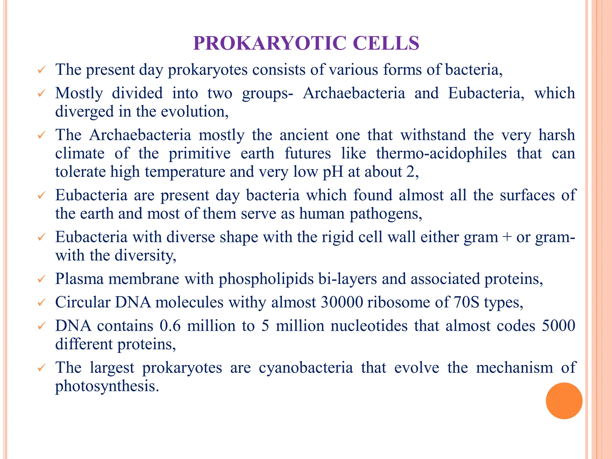 EVOLUTION OF EUKARYOTIC CELLS AND ENDOSYMBIOSIS.pdf