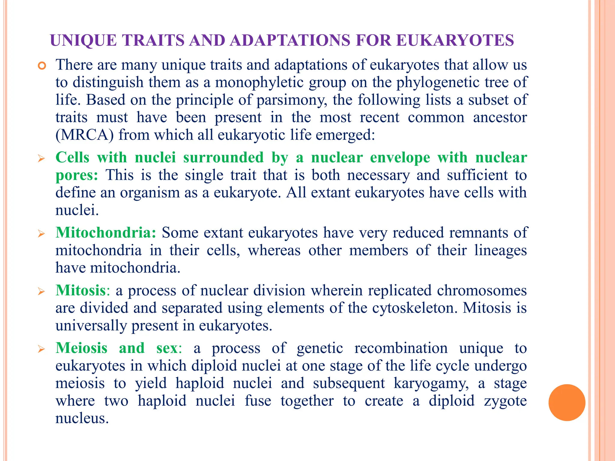 Evolution Of Eukaryotic Cells And Endosymbiosispdf 3947