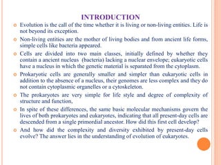 EVOLUTION OF EUKARYOTIC CELLS AND ENDOSYMBIOSIS.pdf