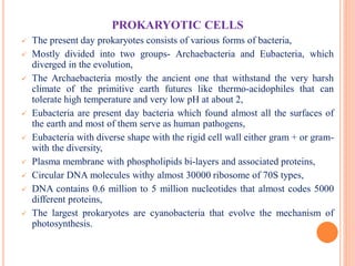 EVOLUTION OF EUKARYOTIC CELLS AND ENDOSYMBIOSIS.pdf