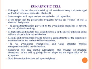 EVOLUTION OF EUKARYOTIC CELLS AND ENDOSYMBIOSIS.pdf