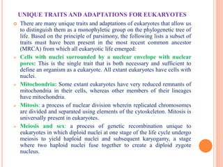 EVOLUTION OF EUKARYOTIC CELLS AND ENDOSYMBIOSIS.pdf