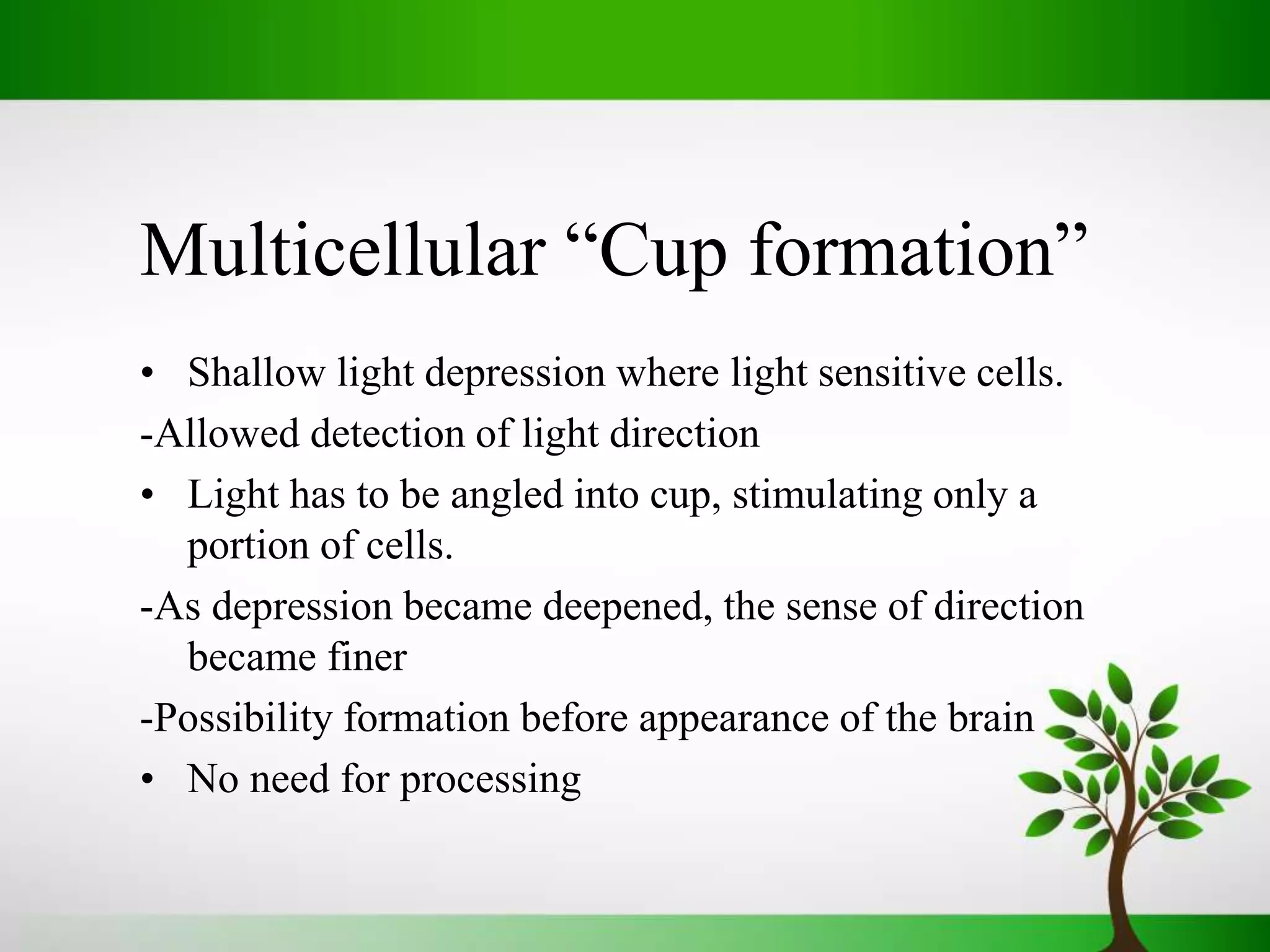 Evolution of EYE | PPTX
