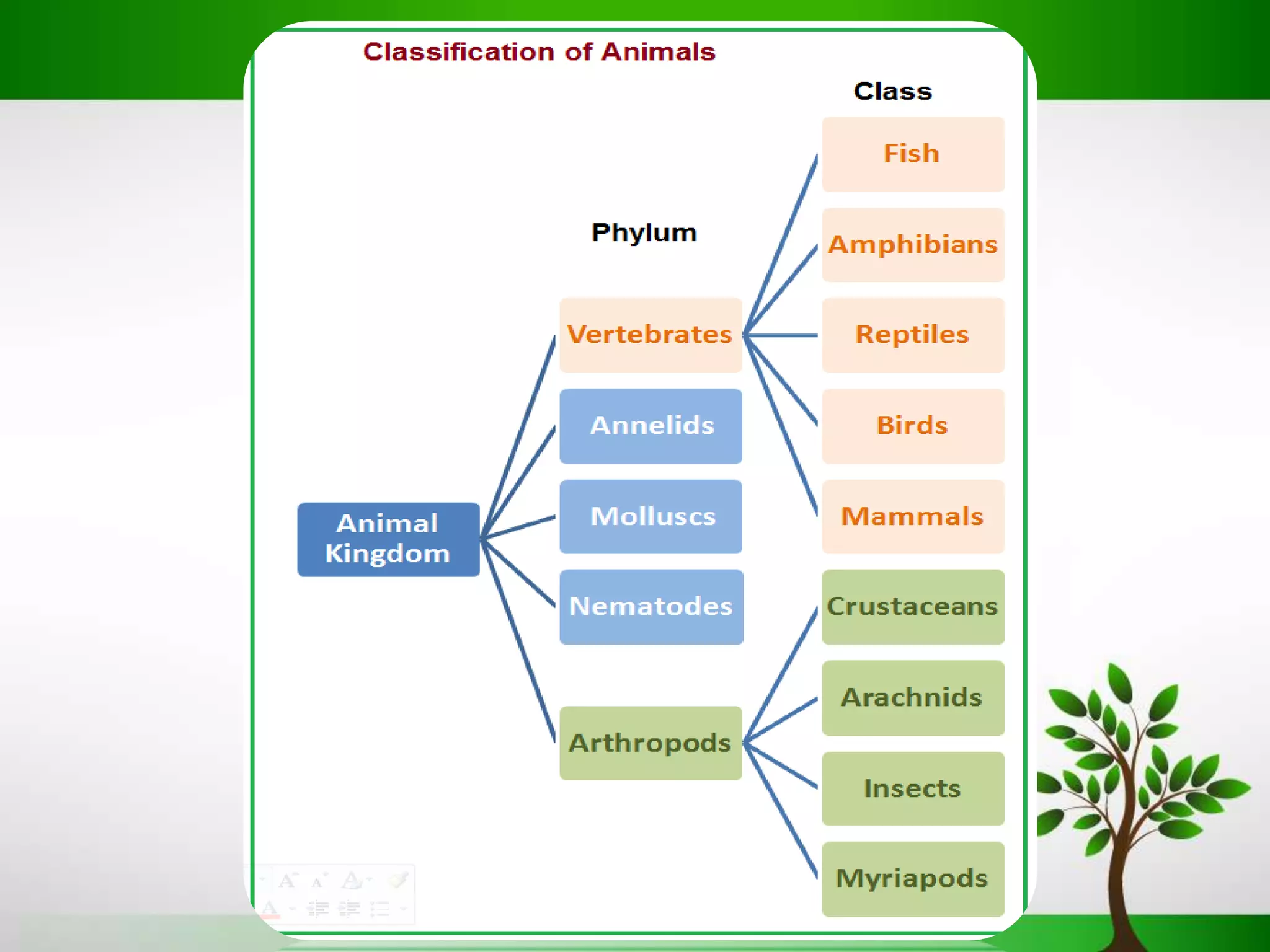 Evolution of EYE | PPTX