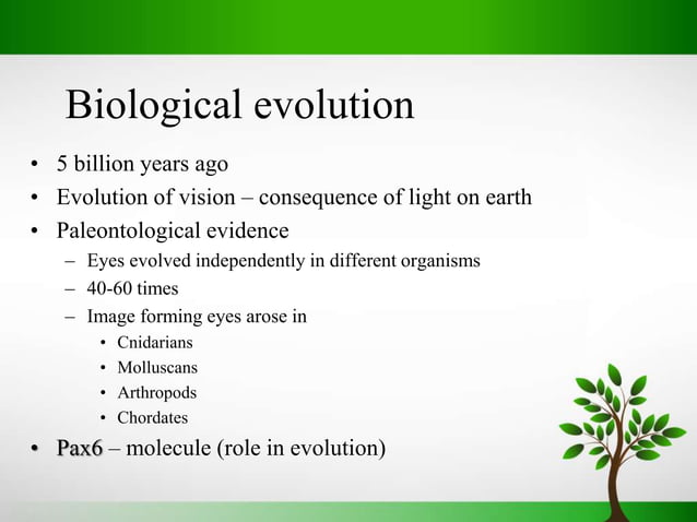 Evolution of EYE | PPTX | Eye and Vision Conditions | Diseases and ...