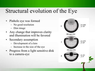 Evolution of EYE | PPTX