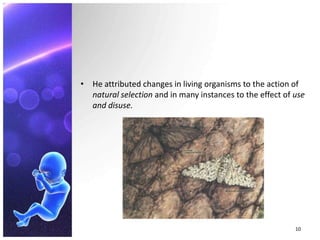 Evolution of face | PPTX