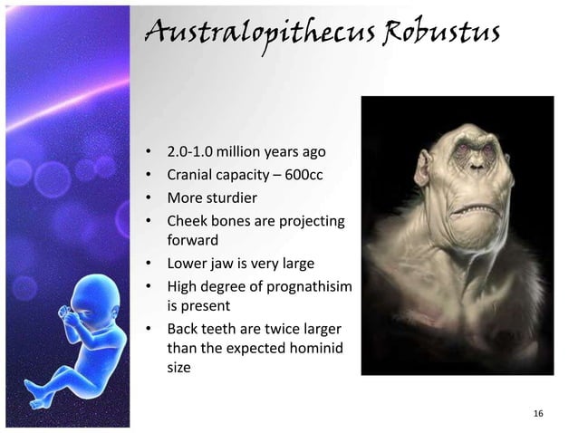 Evolution of face | PPTX