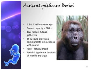 Evolution of face | PPTX