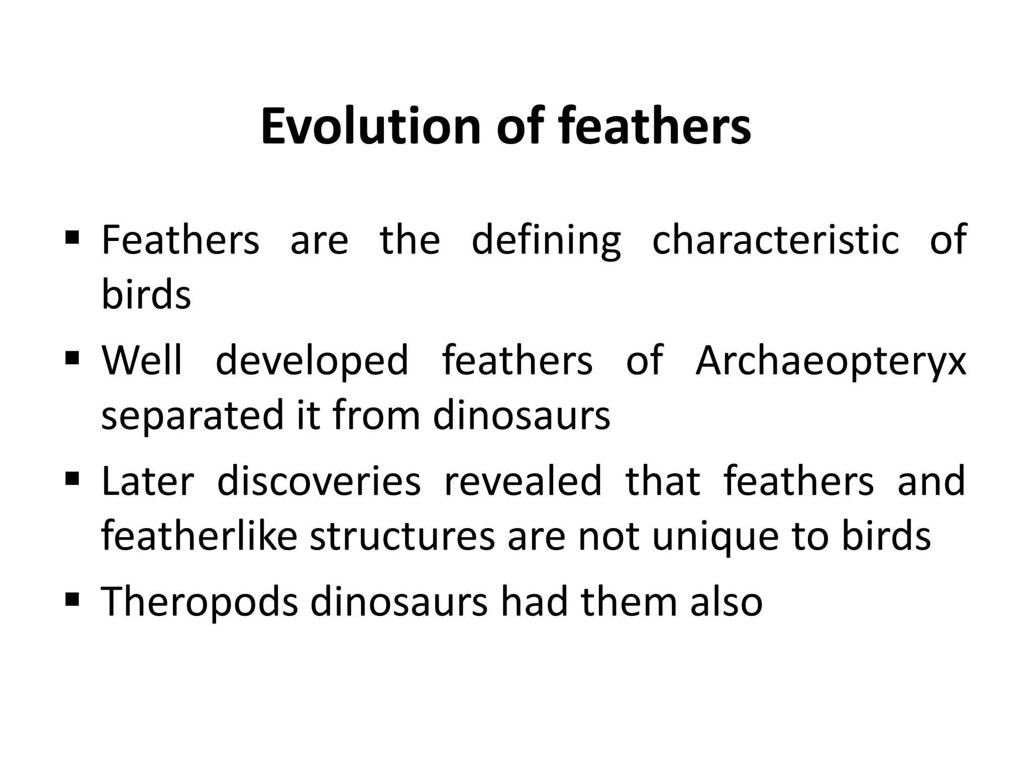 Evolution of Feathers.pptx