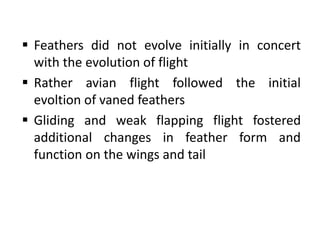 Evolution of Feathers.pptx