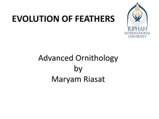 Evolution of Feathers.pptx