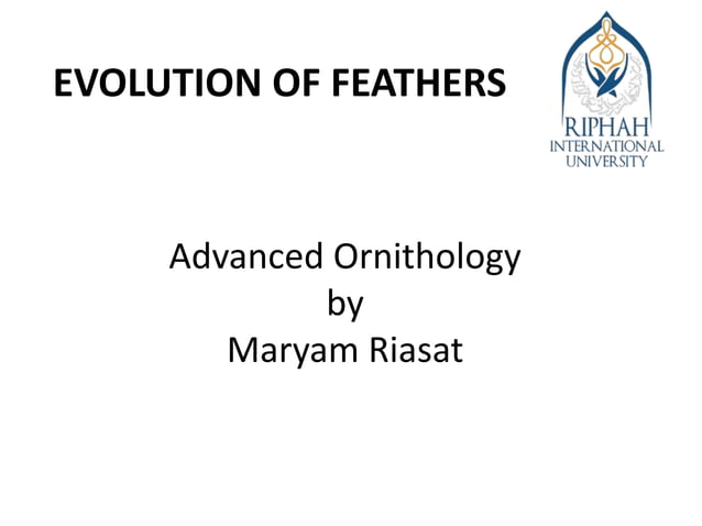 Evolution of Feathers.pptx