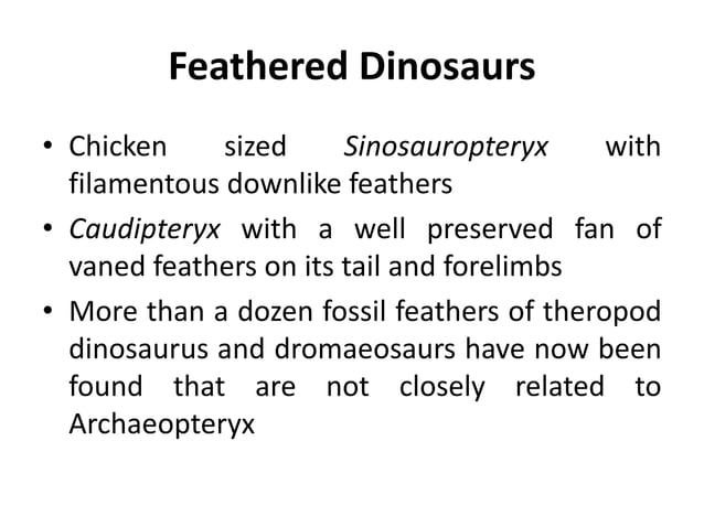 Evolution of Feathers.pptx