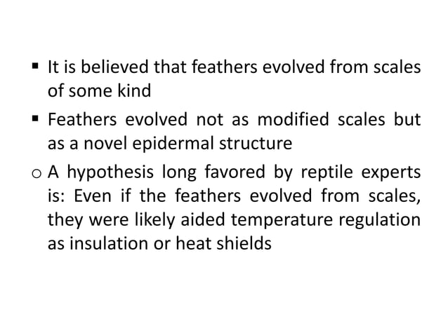 Evolution of Feathers.pptx