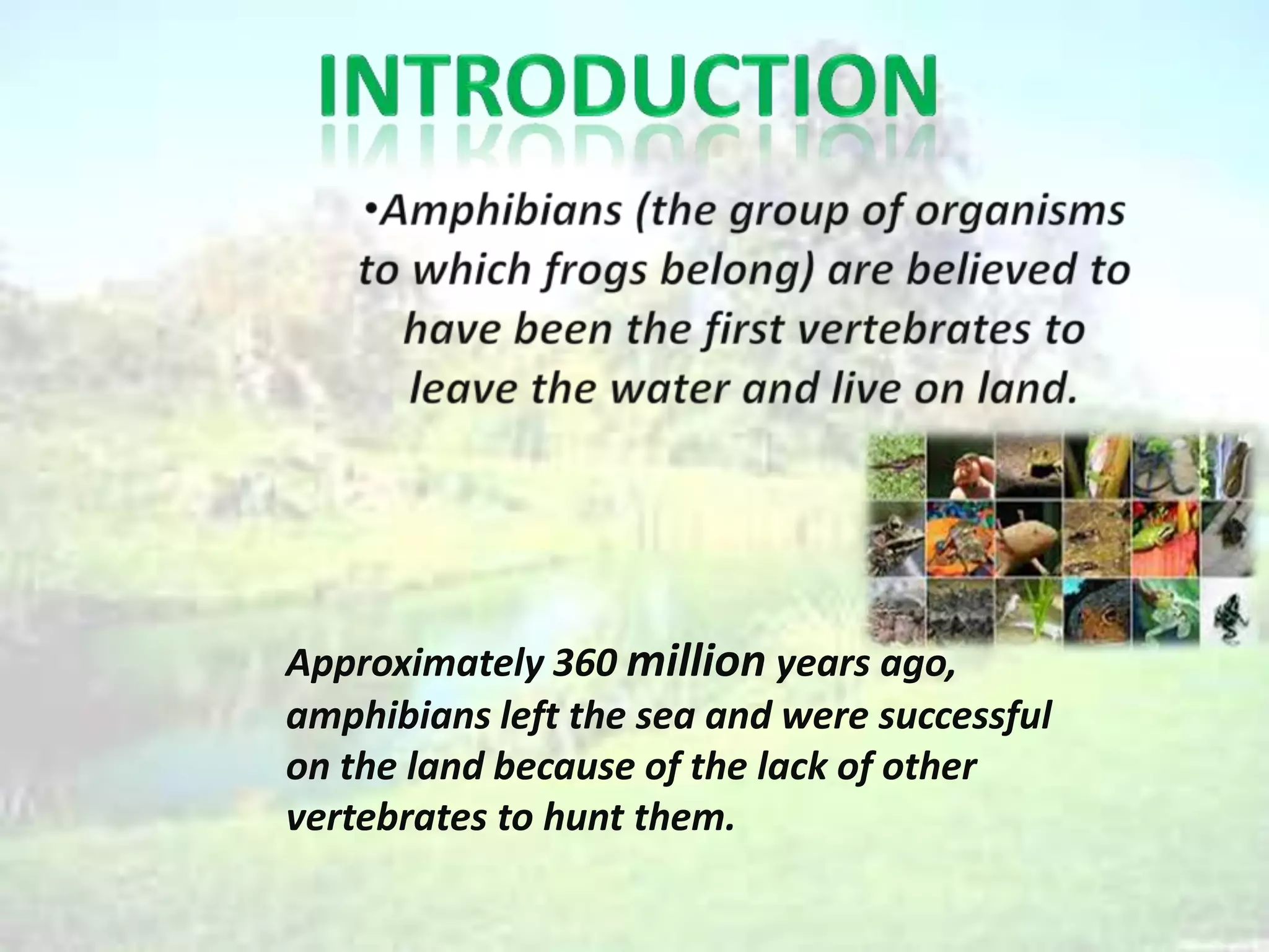 Evolution of FROG | PPTX