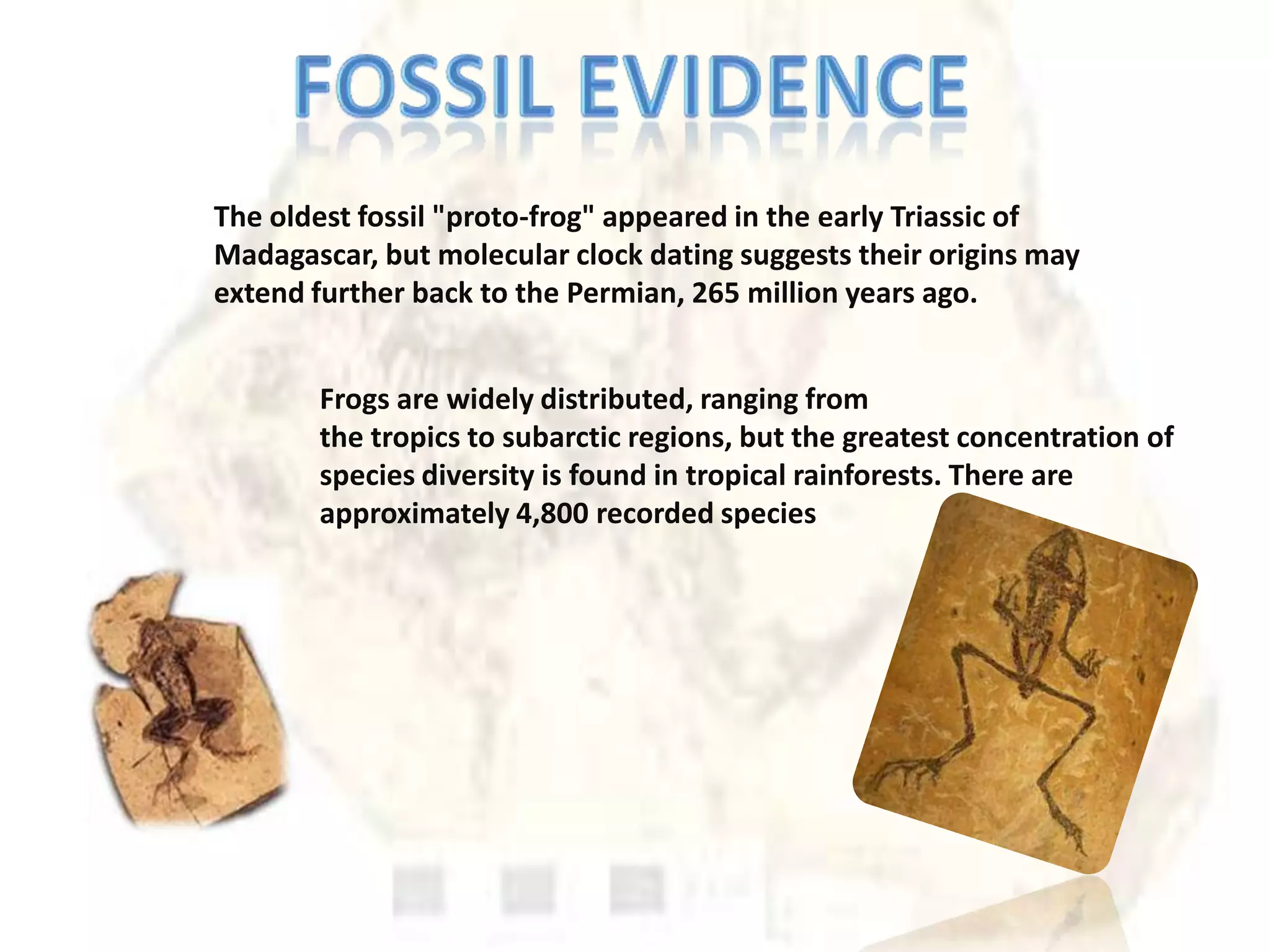 Evolution of FROG | PPTX