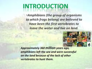 Evolution of FROG | PPTX