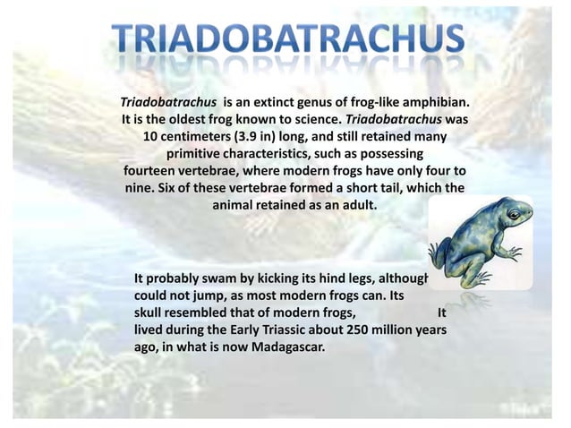 Evolution of FROG | PPTX