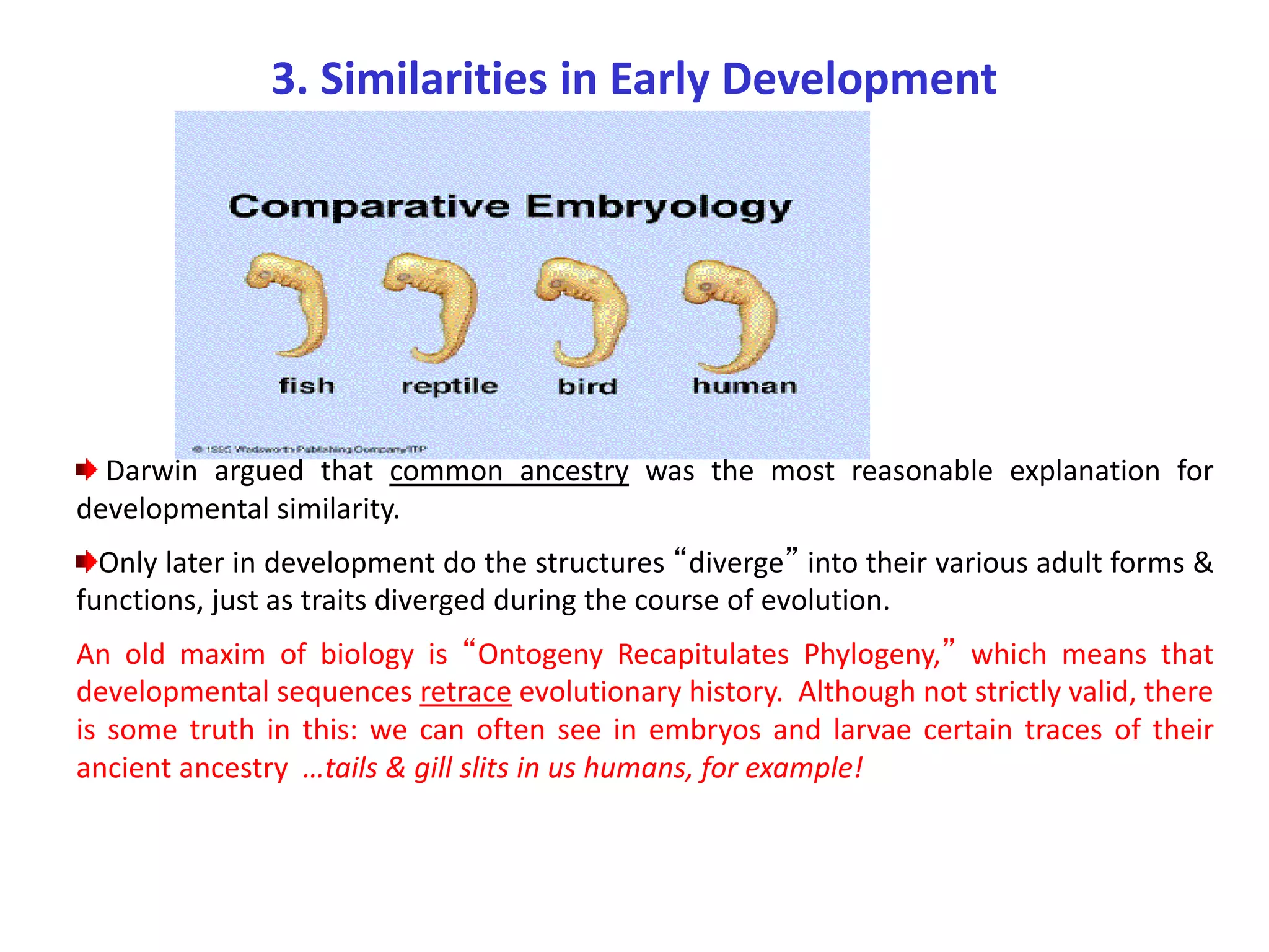 Evolution of genetic variance-covariance structuer in animal.pptx ...