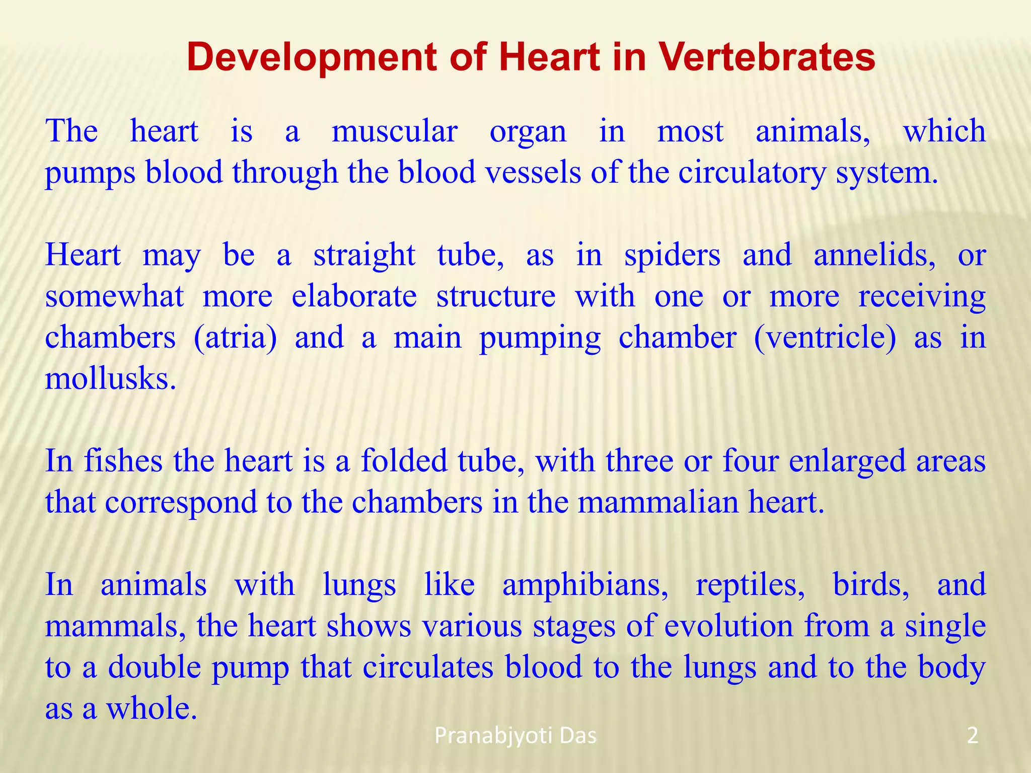 Evolution of Heart | PPTX