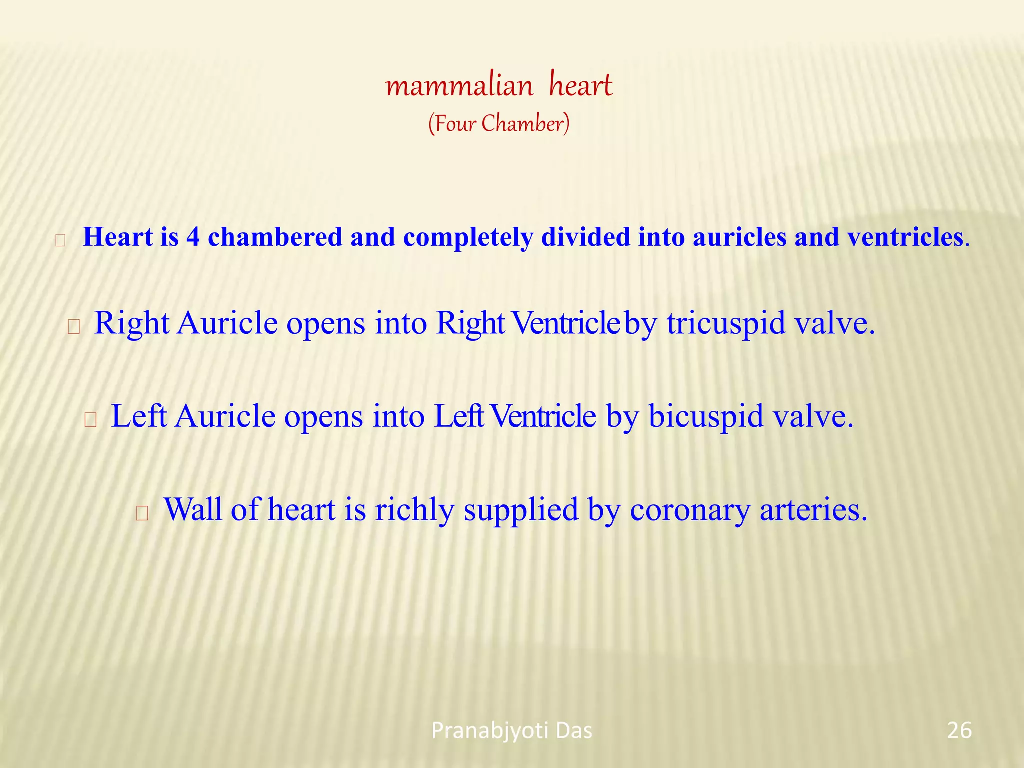 Evolution of Heart | PPTX